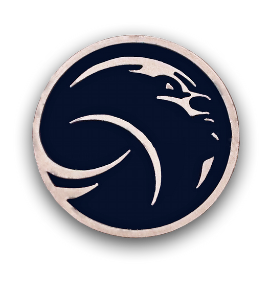Nasa Moon Logo